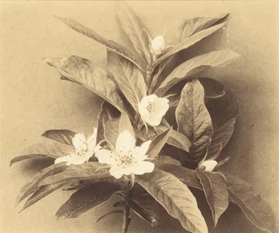 Richard Tepe | Biography