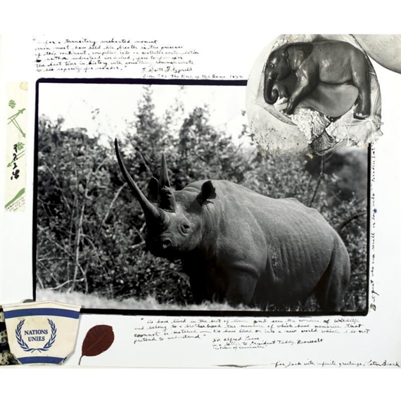 Peter Beard | RHINO | MutualArt