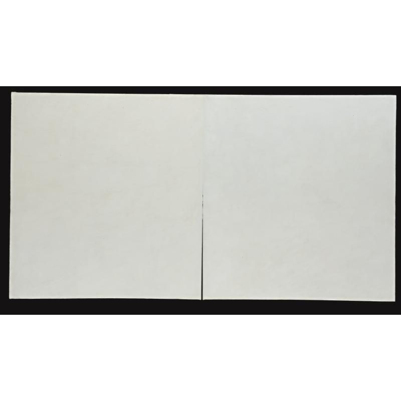 Tim Hawkinson | Untitled (1998) | MutualArt