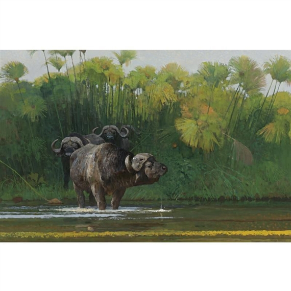Bob Kuhn | Water Buffalo Bulls emerging from papyrus, 1984 | MutualArt