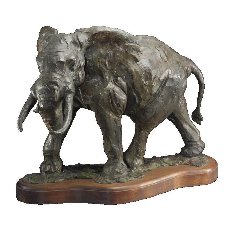 Kenneth Bunn | Bull elephant | MutualArt