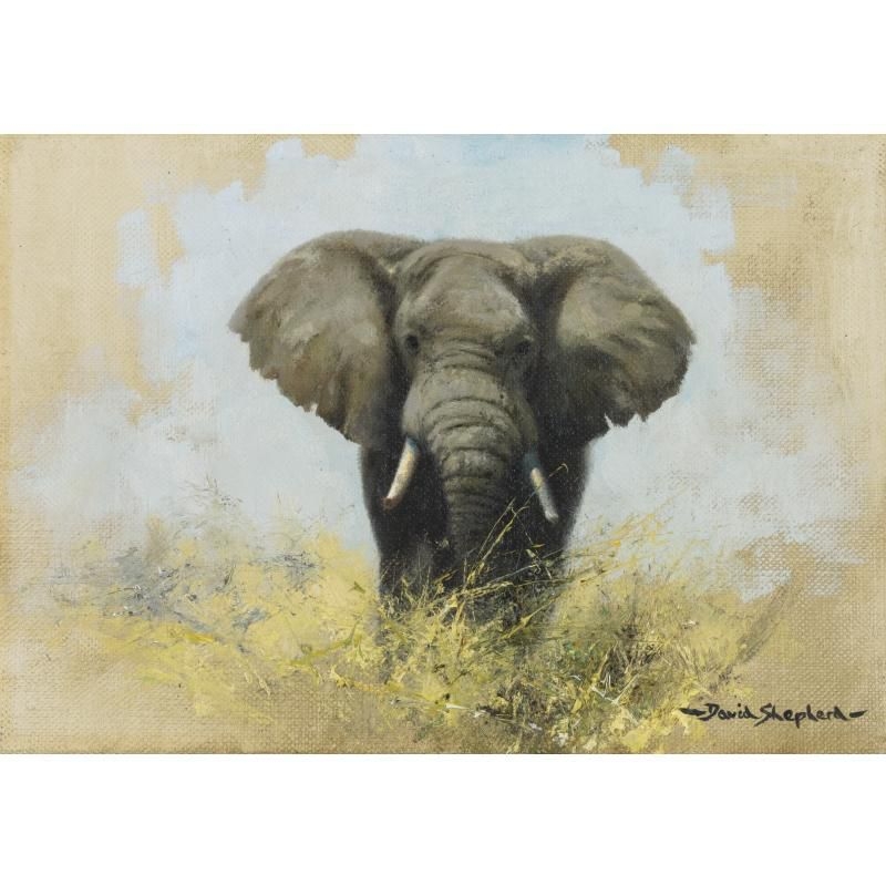 David Shepherd | ELEPHANTS AND EGRETS | MutualArt