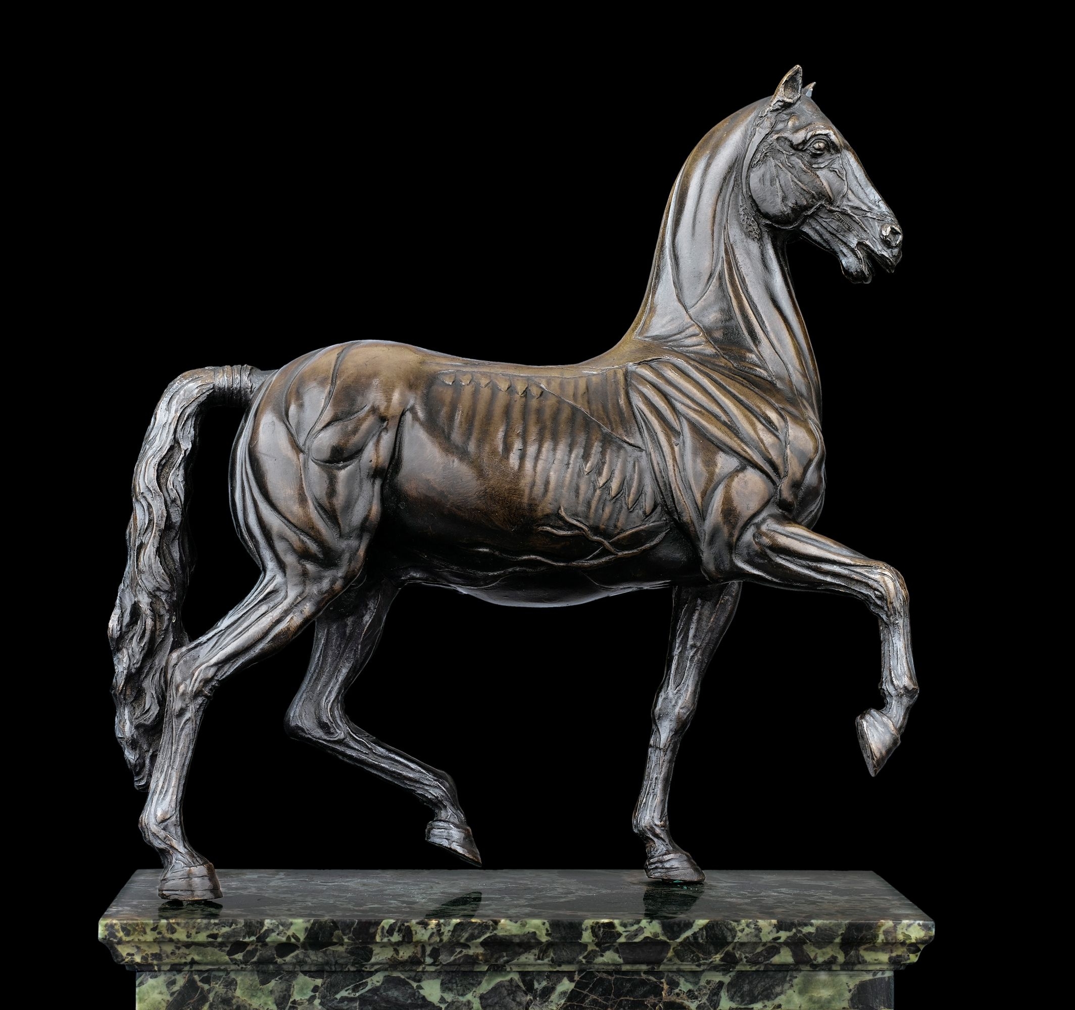 Francesco Righetti | Important Cheval Anatomique ou Cheval Ecorché en ...