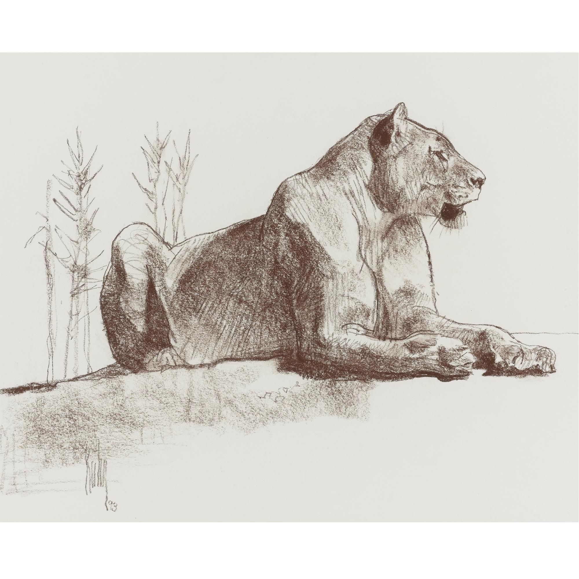 Bob Kuhn | Recumbent African Lioness | MutualArt
