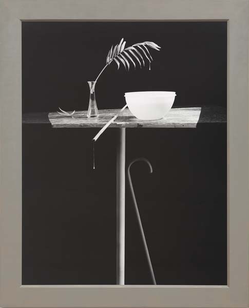 Zeke Berman | Untitled (Palm Leaf and Tupperware Bowl) (1984) | MutualArt