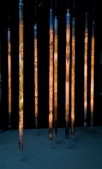 Gail Wight | Artist Overview | MutualArt