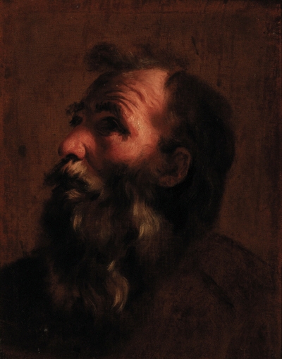 Gaetano Gandolfi | Head of an old man | MutualArt