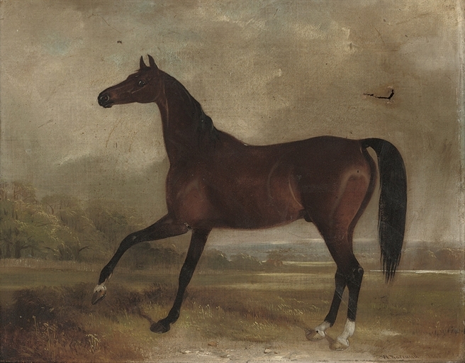 Henry Barraud | THE HERO, A BAY RACEHORSE (1847) | MutualArt
