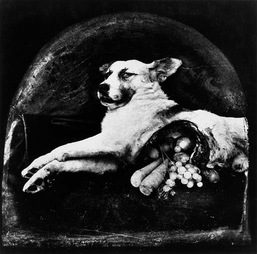 Joel-Peter Witkin | Cornucopia Dog | MutualArt