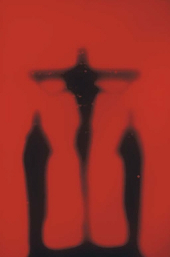 Andrés Serrano | Crucifixion (1987) | MutualArt