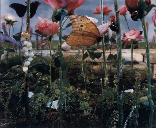 Gregory Crewdson | Untitled (butterflies and ball of larvae) (1990 ...