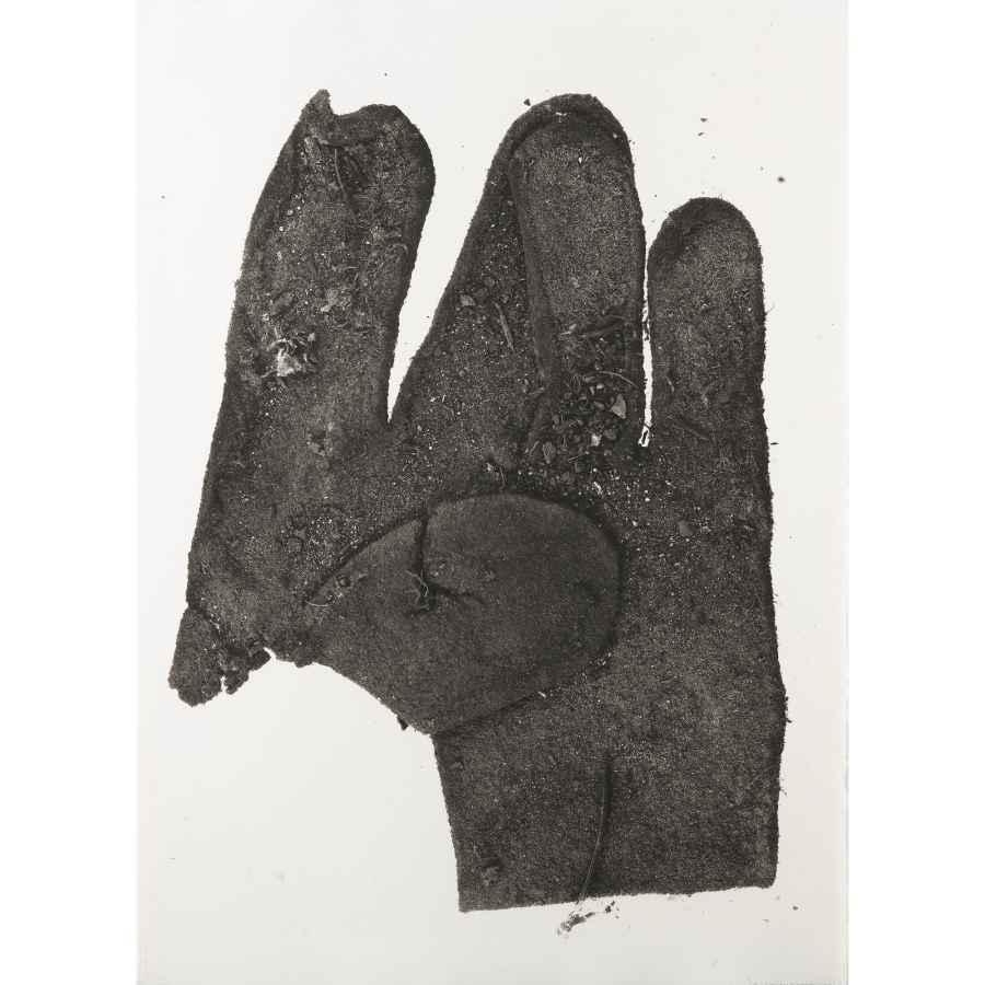Irving Penn | FLAT GLOVE, 1975 | MutualArt