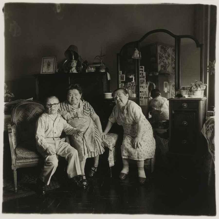 Diane Arbus | 'WAITRESS, NUDIST CAMP, N. J.' (1963) | MutualArt