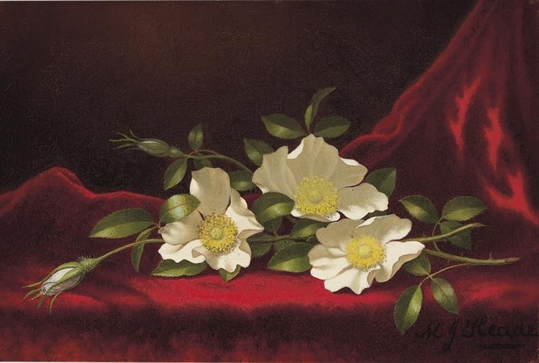 Martin Johnson Heade | Still Life with Cherokee Roses (1883 - 1890 ...
