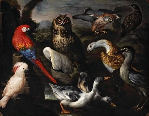 Pietro Neri Scacciati | Exotic birds in a landscape | MutualArt