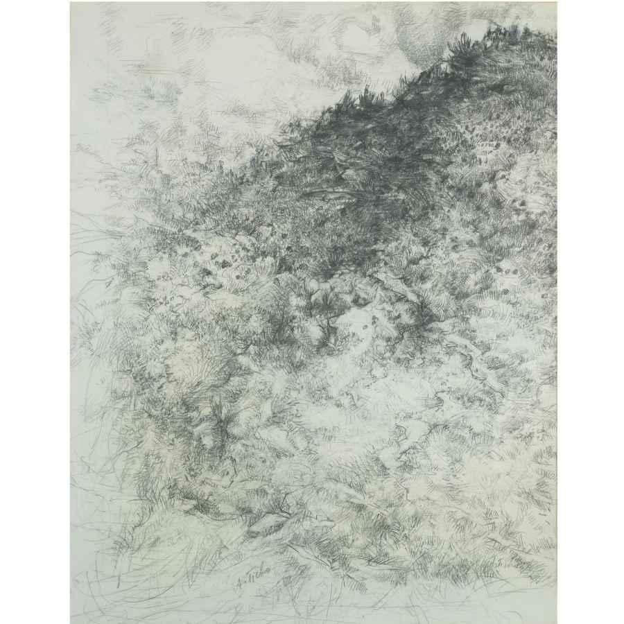 Anna Ticho | THE BURNING BUSH | MutualArt