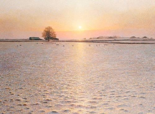 Andrew Coates | 36 Artworks at Auction | MutualArt