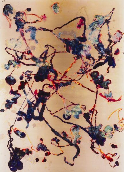 Adam Fuss | Untitled (Large Flowers, Plants) (1994) | MutualArt