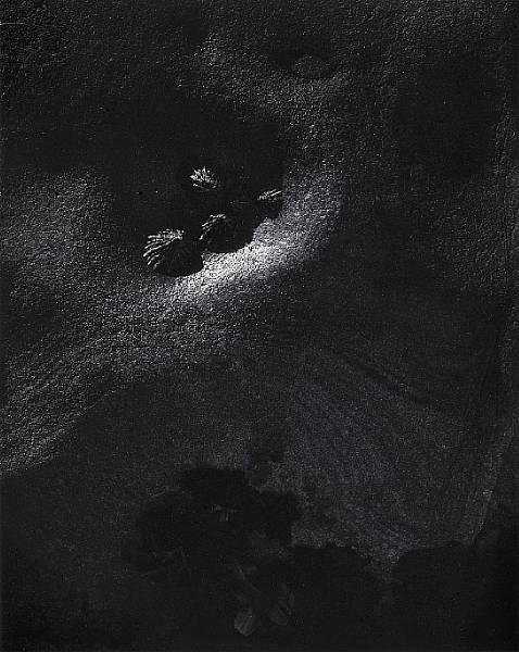 Wynn Bullock | Rock and Limpets | MutualArt