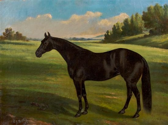Thomas J. Scott | Portrait of a Horse (1884) | MutualArt