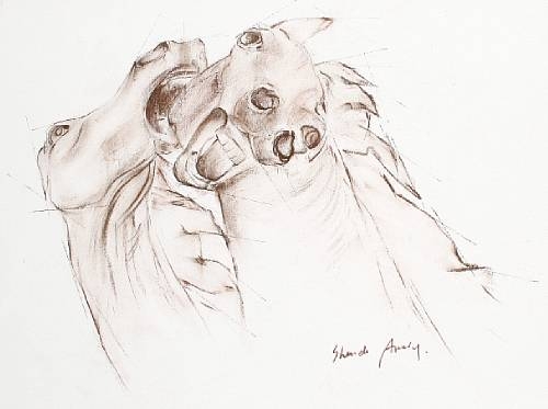 Shenda Amery | 12 Artworks | MutualArt