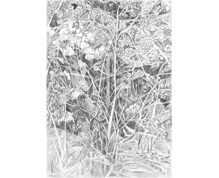 Room 107: Katharina Immekus | Exhibitions | MutualArt