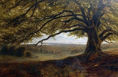 Alfred Benjamin Cole | 8 Artworks at Auction | MutualArt