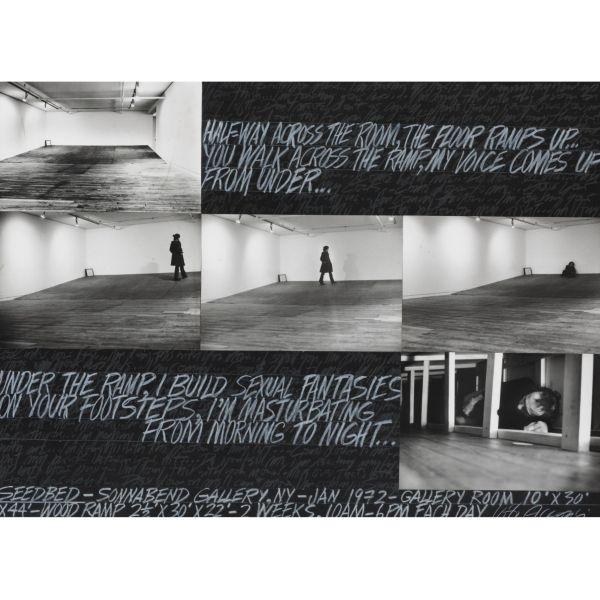 Vito Acconci | SEEDBED (1972) | MutualArt