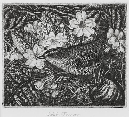 5 Robin Tanner Signatures | MutualArt