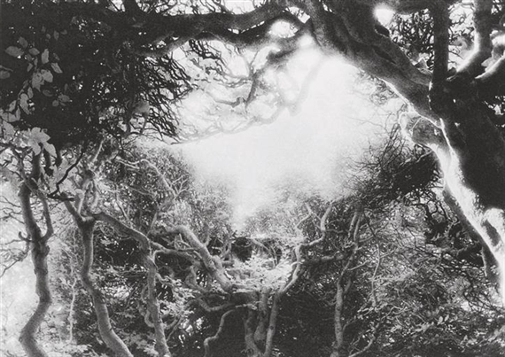 Simon Marsden | 20 Artworks | MutualArt