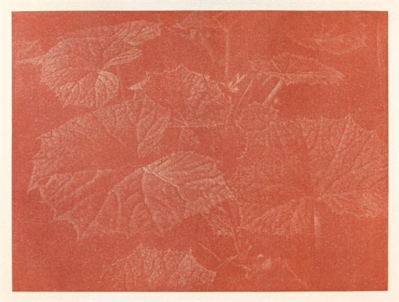 Franz Gertsch | Pestwurz (2002) | MutualArt