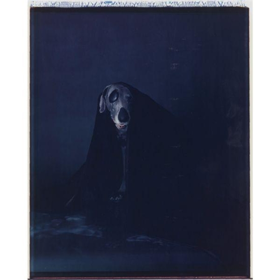 William Wegman | MAN RAY AS PIRATE (1979) | MutualArt