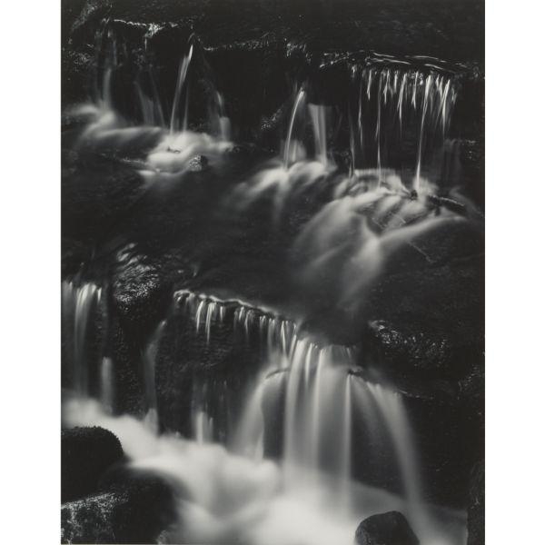 Ansel Adams | Fern Spring, Yosemite Valley (1961) | MutualArt
