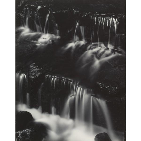 Ansel Adams | Fern Spring, Yosemite Valley (1961) | MutualArt