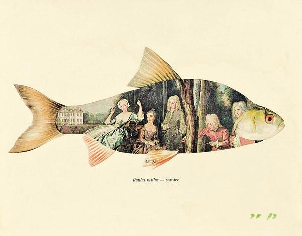 Jiri Kolar | Untitled (Rutilus rutilus - samiec) (1972) | MutualArt