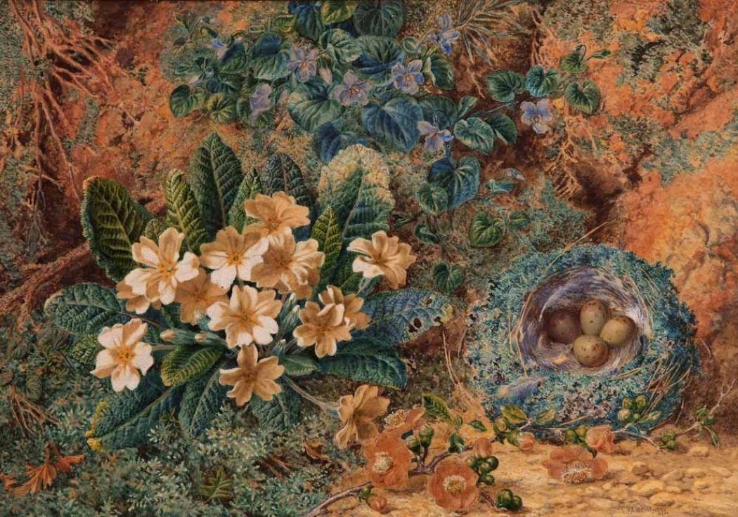 Thomas Frederick Collier | Still Life of Flowers and Birds Nest on a ...