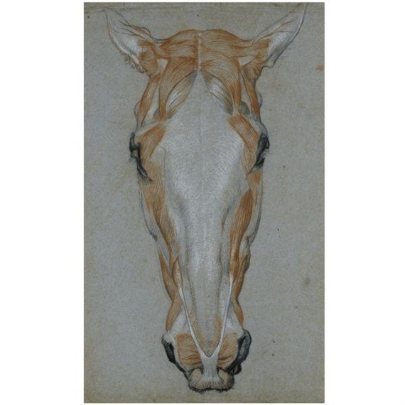 Edwin Landseer | RECTO: ECORCHÉ DRAWING OF A HORSE'S HEAD; VERSO: STUDY ...