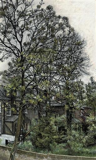 Christopher Bramham | Ash Tree, Spring | MutualArt