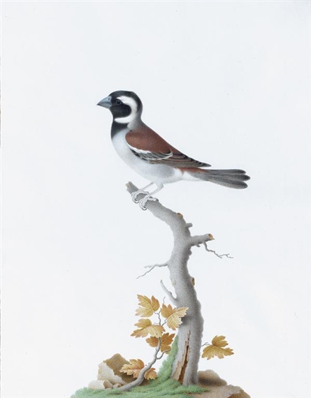 Nicolas Robert | 112 Artworks at Auction | MutualArt