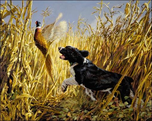 Tom Beecham | Spaniel and Pheasant | MutualArt