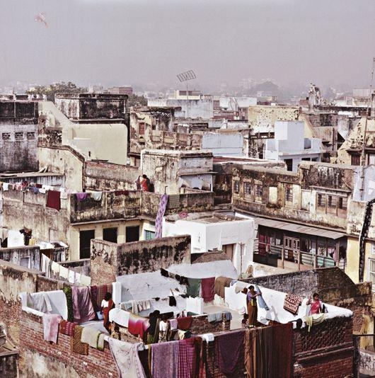 Tim Hall | Performance at Auction | MutualArt