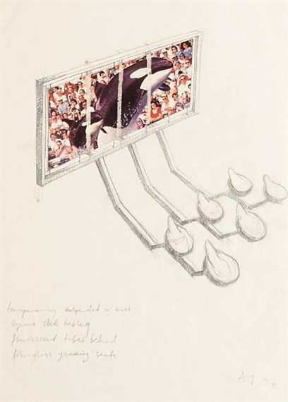 Angus Fairhurst | Orca Drawing (1994) | MutualArt