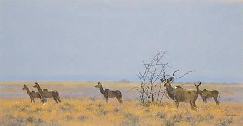 Kim Donaldson | Kudu herd | MutualArt