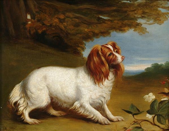 Robert Richard Scanlan | A King Charles Spaniel in a landscape | MutualArt