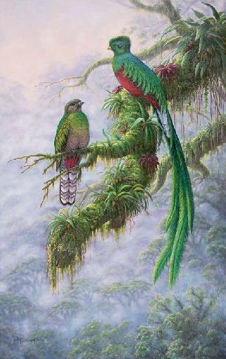 Kim Brooks | 62 Artworks at Auction | MutualArt