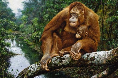 Alan M. Hunt | Mother Love - Orang-utan (1999) | MutualArt