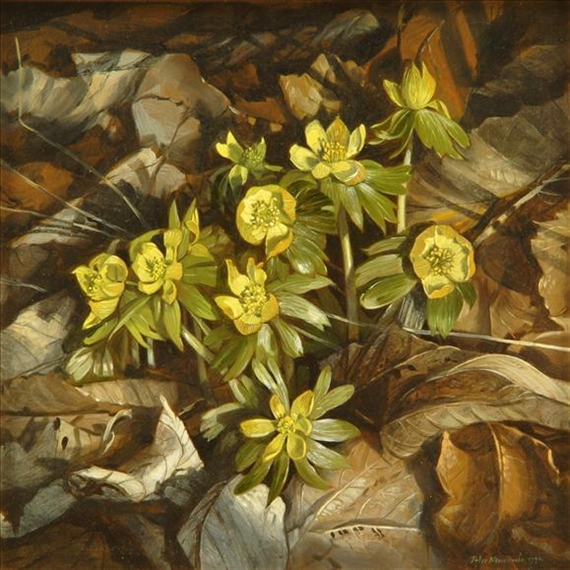 Peter Newcombe | Performance at Auction | MutualArt