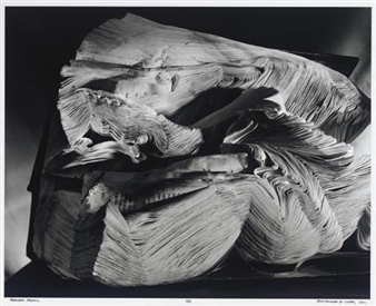 Morell Abelardo | Detail of Book Damaged by Water (2001) | MutualArt