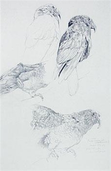 Artworks of Raymond Harris Ching (New Zealander, 1939)