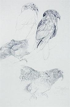 Raymond Harris Ching | 397 Artworks | MutualArt